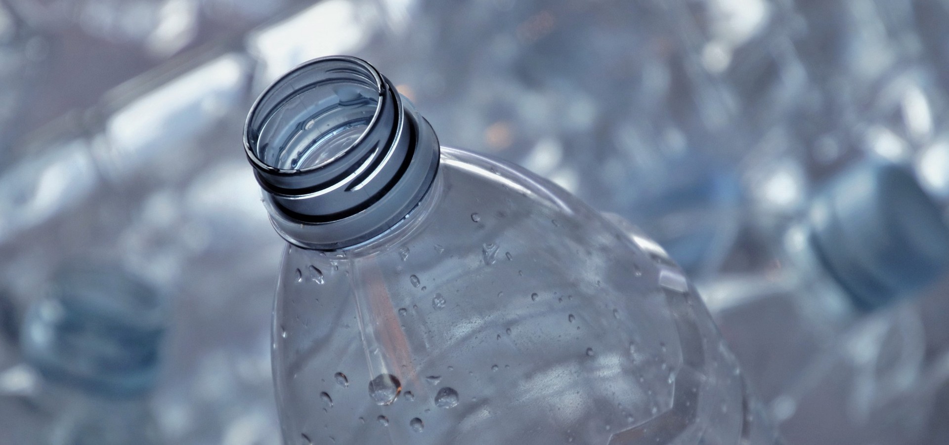 Pericolo ftalati nella plastica: 100 mila decessi all'anno solo negli USA