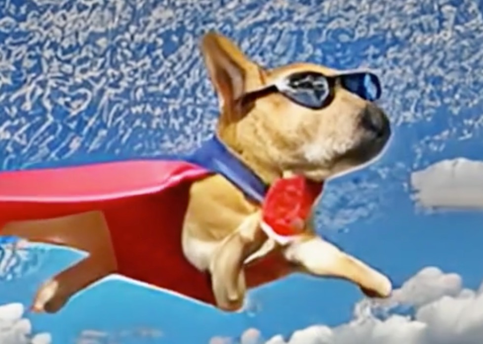 Meta trasforma le parole in video: eccezionale tecnologia per l'IA del ...