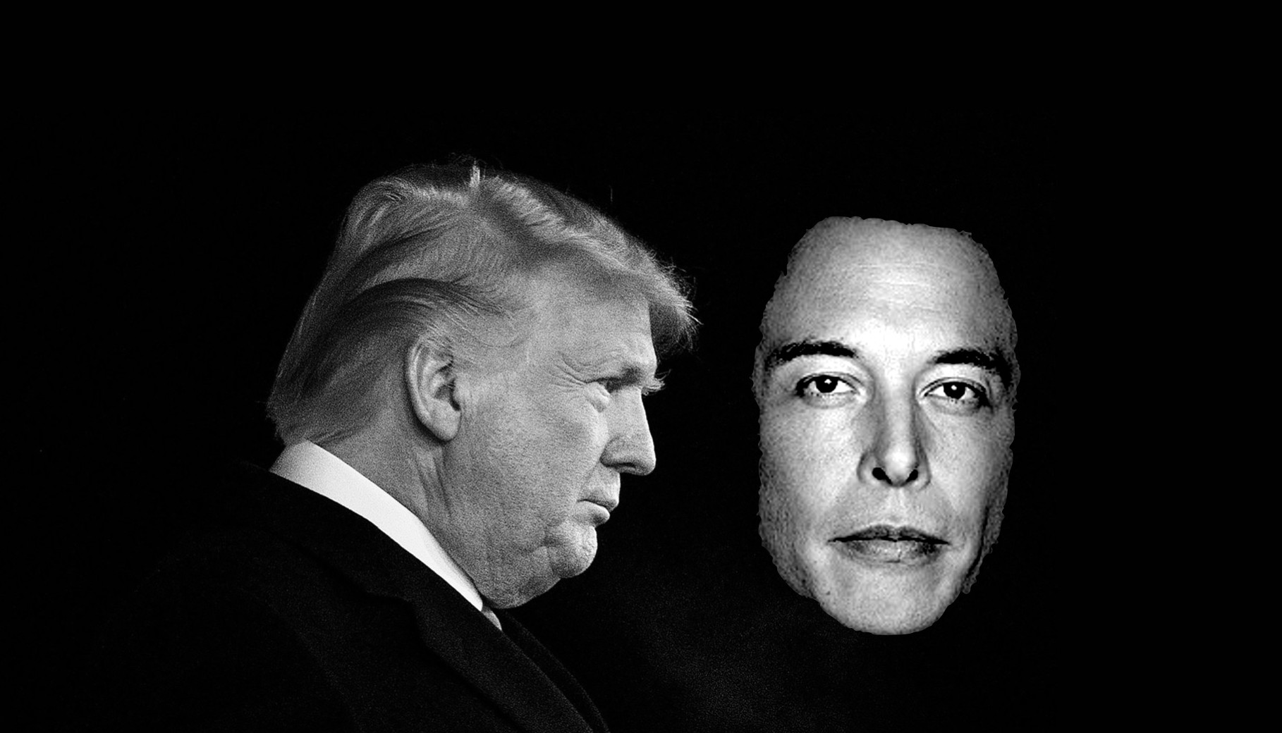 Trump promette una task force governativa guidata da Elon Musk