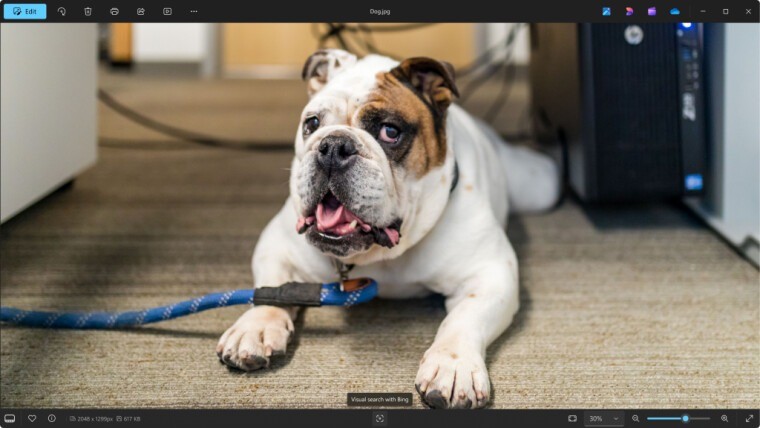 Microsoft rinnova l'app Foto per Windows: novità per gli Insider