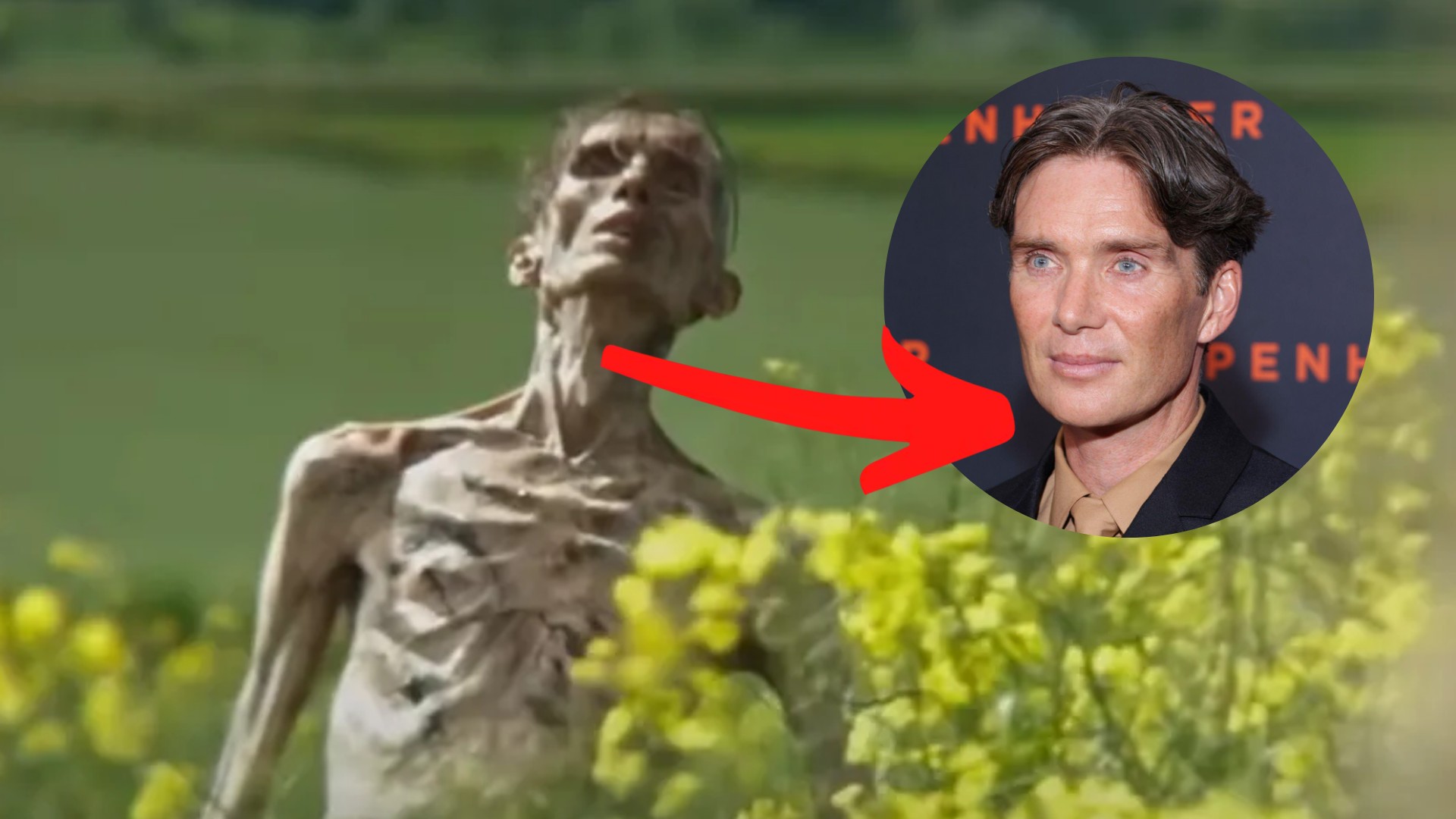 28 anni dopo: uno zombie ha fatto esplodere Internet. Ma perché?