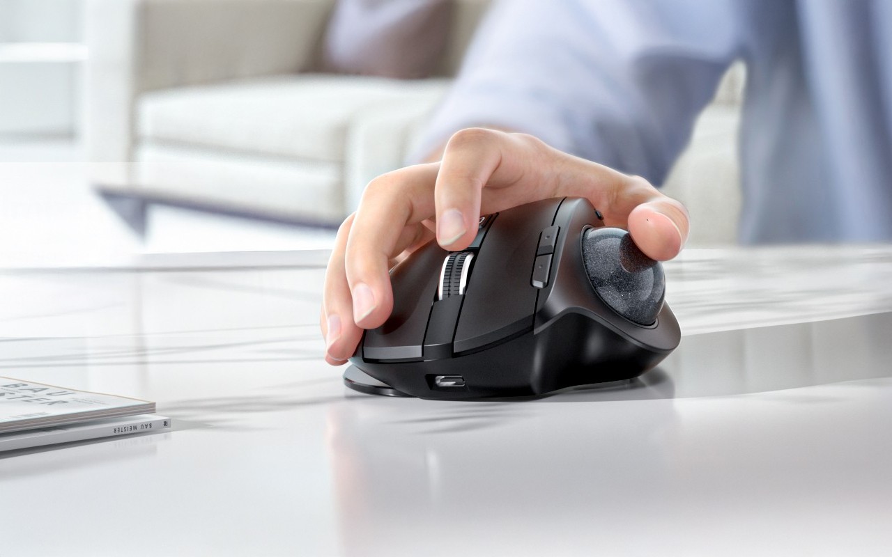 ProtoArc EM01 NL: mouse con trackball al miglior prezzo su Amazon