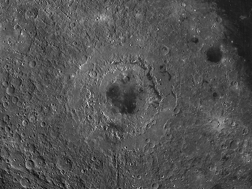 Hentai emily vick appointment location was in a recognized