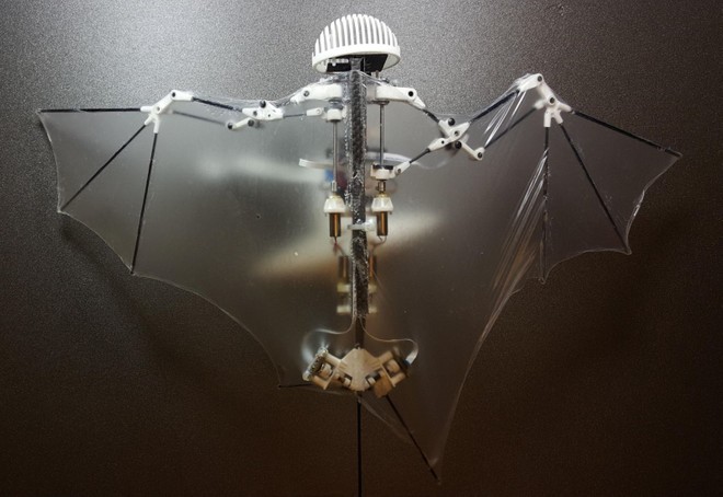 Bat Bot, il primo drone che imita il volo dei pipistrelli