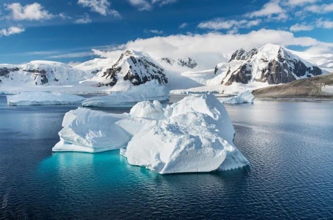 In Antartide c'è molta più vita di quanto sembri: scoperte 77 specie ...